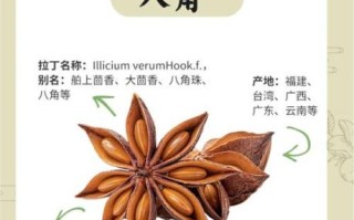 八角的功效与作用_八角怎么吃最健康
