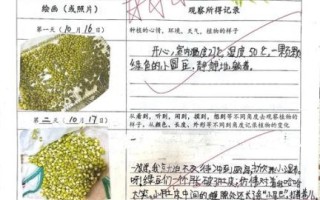 绿豆发芽观察日记7天_怎么写
