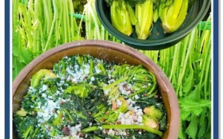 雪菜和酸菜一样吗_雪菜酸菜区别 雪菜和酸菜一样吗_雪菜酸菜区别