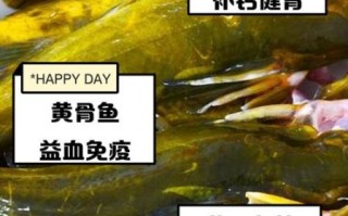 黄骨鱼的功效与作用_黄骨鱼适合什么人吃