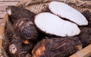 芋头图片大全欣赏_芋头品种有哪些