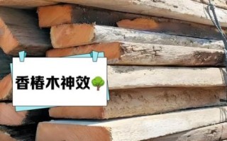 香椿木家具的危害_香椿木家具对人体有害吗 香椿木家具的危害_香椿木家具对人体有害吗