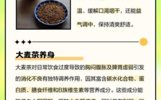 大麦茶一次泡多少粒_大麦茶用量怎么掌握