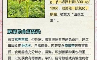 蕨菜图片怎么辨别_蕨菜和有毒蕨类区别