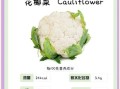 花椰菜英语怎么说_花椰菜英语怎么读