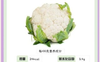 花椰菜英语怎么说_花椰菜英语怎么读