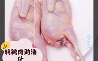 鹌鹑的营养价值_鹌鹑的功效与作用