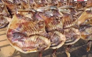 风干腊鸭怎么做_腊鸭要晒多久才够香