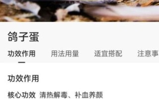 鸽子蛋有什么营养价值_鸽子蛋的功效与作用