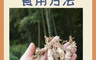 金蝉花怎么吃_金蝉花食用方法大全