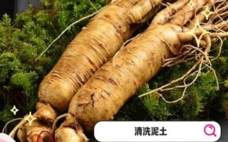 鲜人参怎么吃_鲜人参的吃法与禁忌