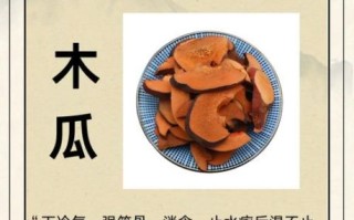 木瓜能治什么病_木瓜的药用价值与功效