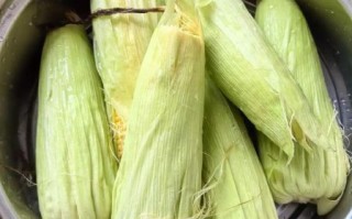 甜玉米怎么煮好吃_甜玉米煮多久才甜