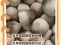 草菇怎么保存_草菇可以冷冻吗