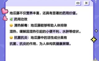 野地瓜藤的功效与作用_野地瓜藤怎么吃