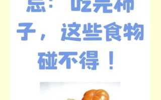 柿子吃多了有什么好处和坏处_吃柿子要注意什么