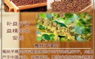 菟丝子怎么吃_菟丝子泡水喝的正确方法 菟丝子怎么吃_菟丝子泡水喝的正确方法