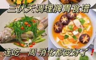 养胃的食物有哪些_四类食物养胃效果好