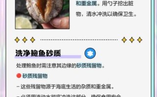鲍鱼哪些部位不能吃_图解详解