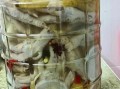 自制泡菜的做法_泡菜怎么做好吃