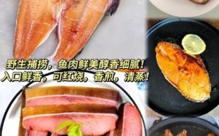 冷冻大马哈鱼怎么做好吃_冷冻大马哈鱼做法大全