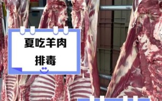 夏天吃羊肉好吗_夏天吃羊肉会上火吗