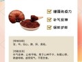 灵芝孢子粉的功效与作用_灵芝孢子粉怎么吃效果最好