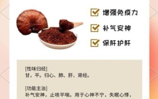 灵芝孢子粉的功效与作用_灵芝孢子粉怎么吃效果最好