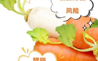 胡萝卜不能和什么食物同食_胡萝卜与哪些食物相克