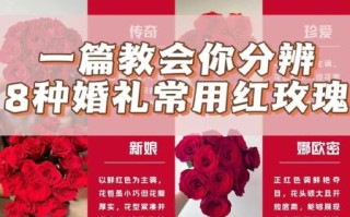 情人节玫瑰花图片真实_如何挑选不翻车