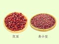 赤豆是什么豆_赤豆和红豆的区别