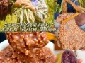 糯高粱米的功效与作用_糯高粱米适合什么人吃