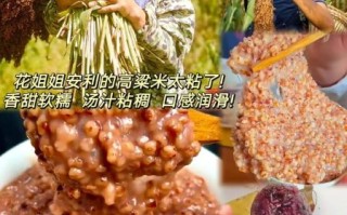 糯高粱米的功效与作用_糯高粱米适合什么人吃