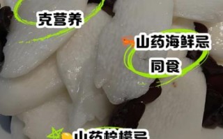 山药和什么相克_山药不能和什么一起吃