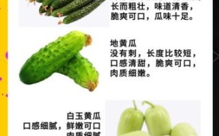 生瓜怎么挑选_生瓜和黄瓜的区别
