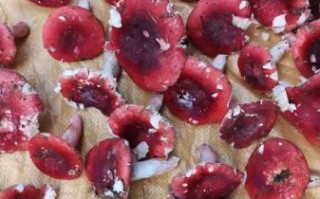 红蘑菇可以吃吗_红蘑菇有毒吗