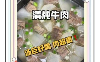 怎样炖牛肉又烂又好吃加什么佐料_牛肉炖不烂怎么办