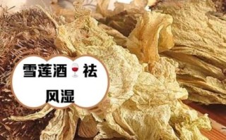雪莲花有什么功效与作用_雪莲花禁忌人群有哪些