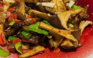 猪肚菌怎么做好吃_猪肚菌营养价值高吗