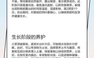 牛油果核怎么种盆栽_牛油果核能水培吗