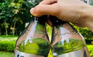 碱水是什么水_碱水哪里有卖