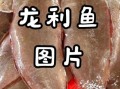 龙利鱼是什么鱼_龙利鱼图片长什么样