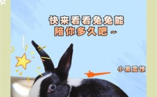 兔子为什么不能养三年_兔子寿命有多长