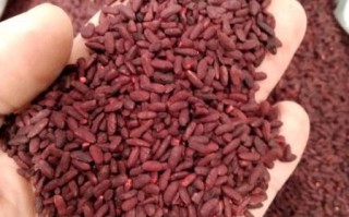 红曲米是什么味道_红曲米口感怎么样