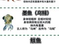 章鱼和鱿鱼哪个好吃_口感区别与做法推荐