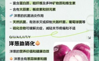 洋葱的功效与作用禁忌_什么人不能吃洋葱