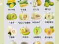 甜瓜怎么挑选_甜瓜图片如何辨别成熟度