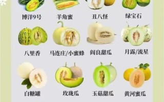 甜瓜怎么挑选_甜瓜图片如何辨别成熟度