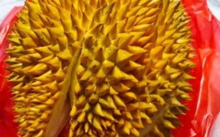 榴莲图片大全大图_榴莲高清图片怎么拍
