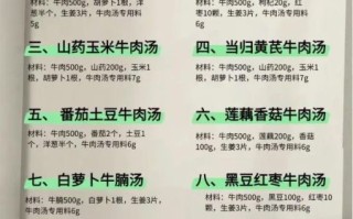 炖牛肉汤放什么调料_牛肉汤调料清单